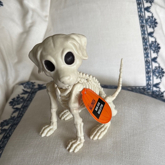 Holiday | Spooky Skeleton Dog Toy Halloween Figure Cream Cool Funny ...